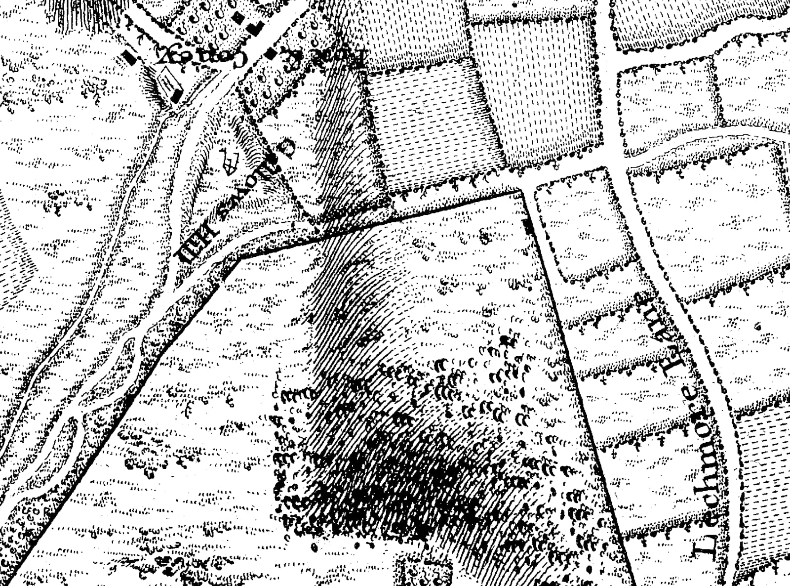 Gallows Pale Ale - Park Brew & Kitchen